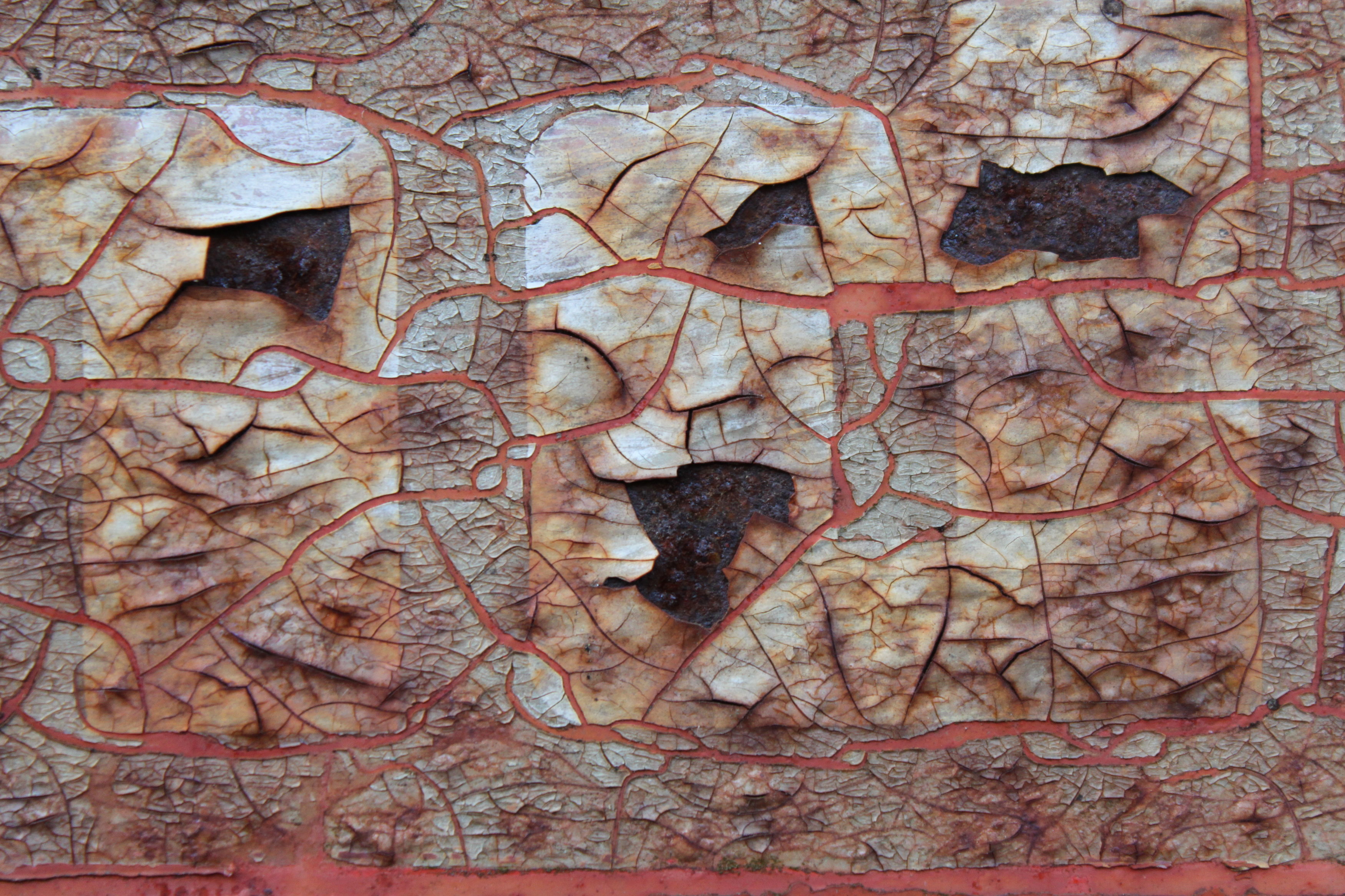 Porträt SlowGrow (Matthias Hollenstein, Mönchaltdorf ZH ...